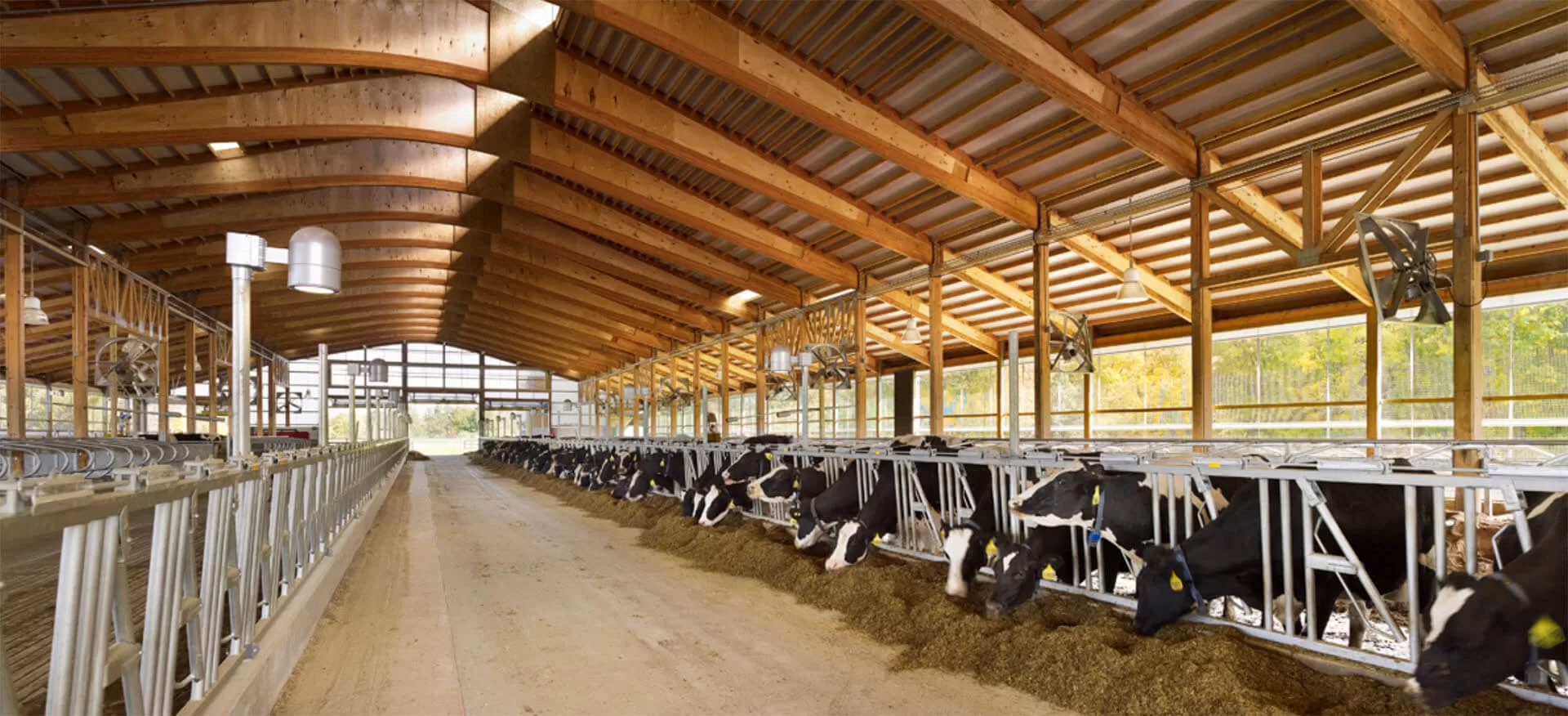 Compost barns: quais as vantagens e como fazer na minha propriedade ...